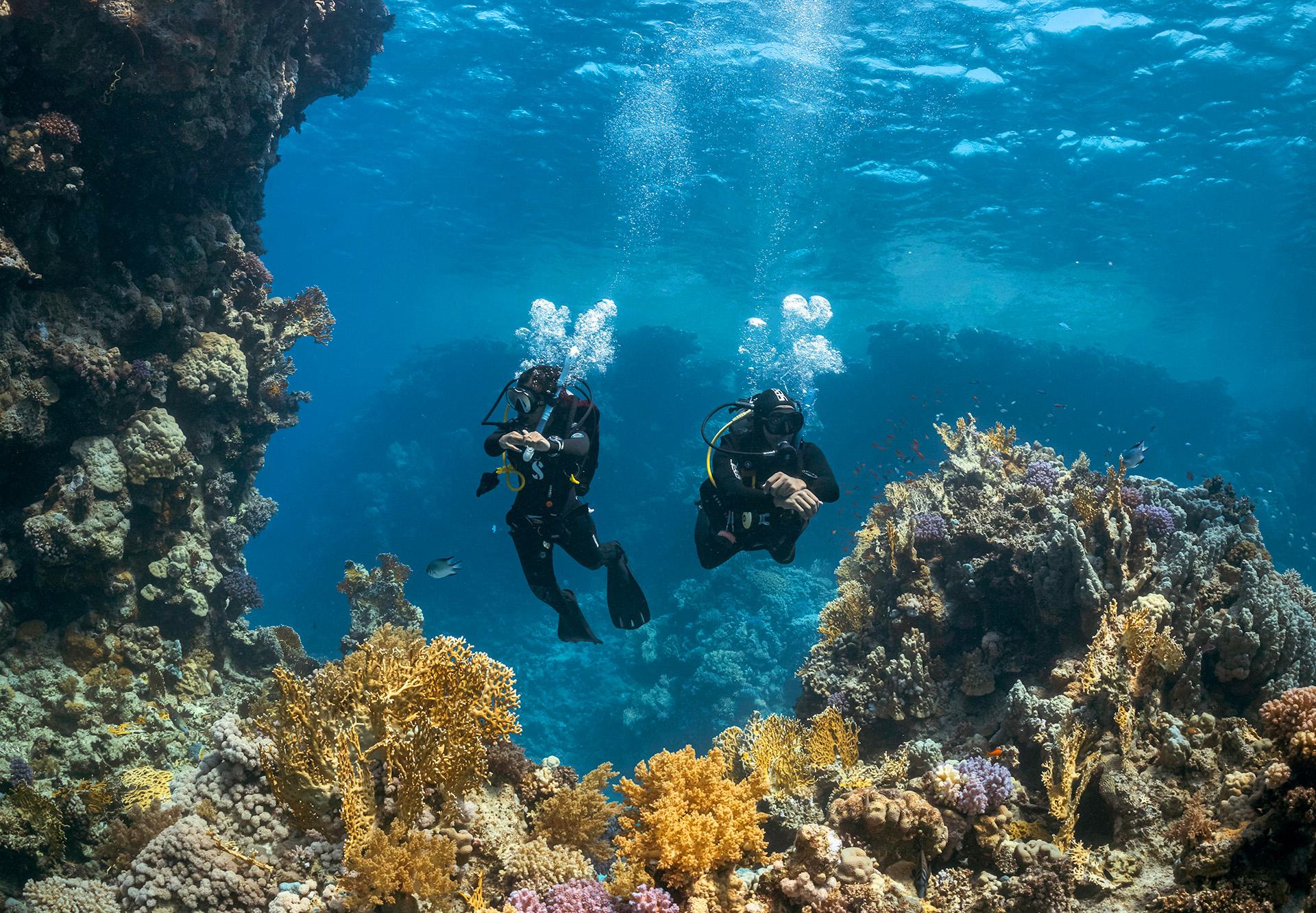 The PADI Pro journey | ONBOARD Magazine